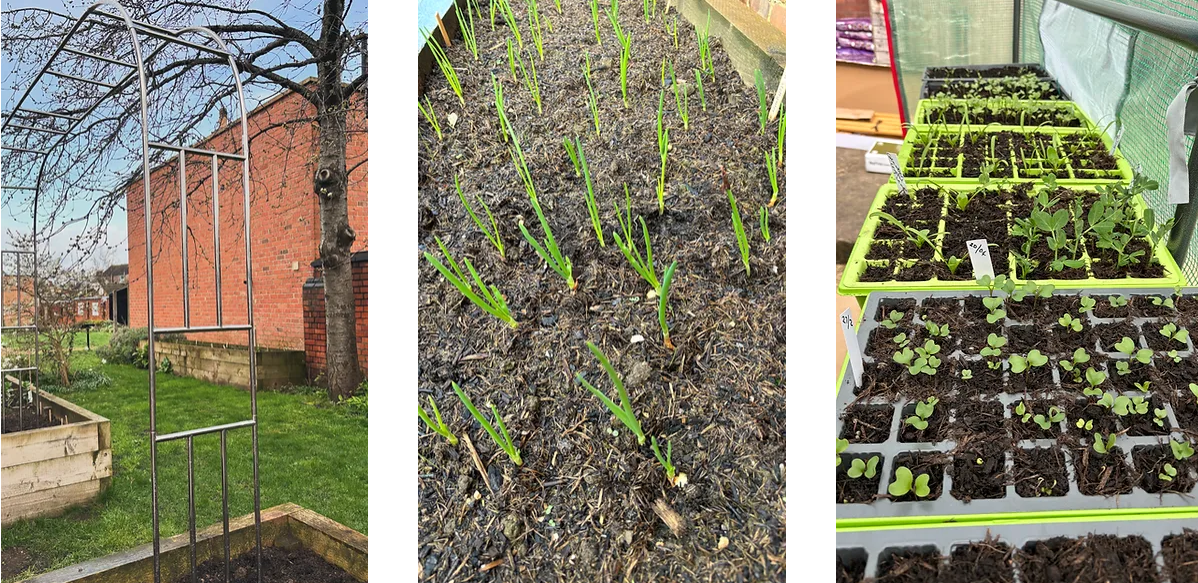 Wiggly. Learn. Cook. Share.